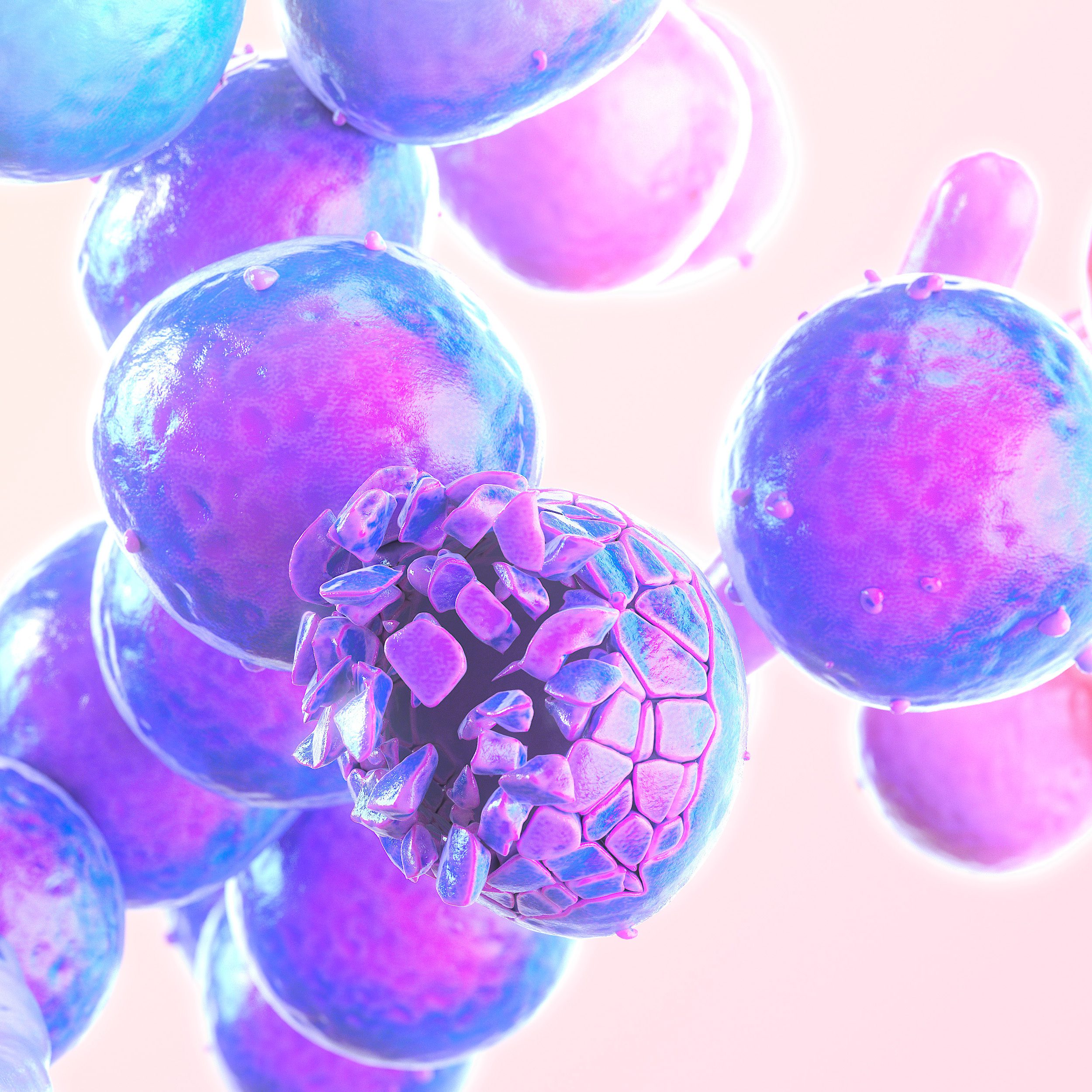 Brexafemme - Scynexis - pixteur studios