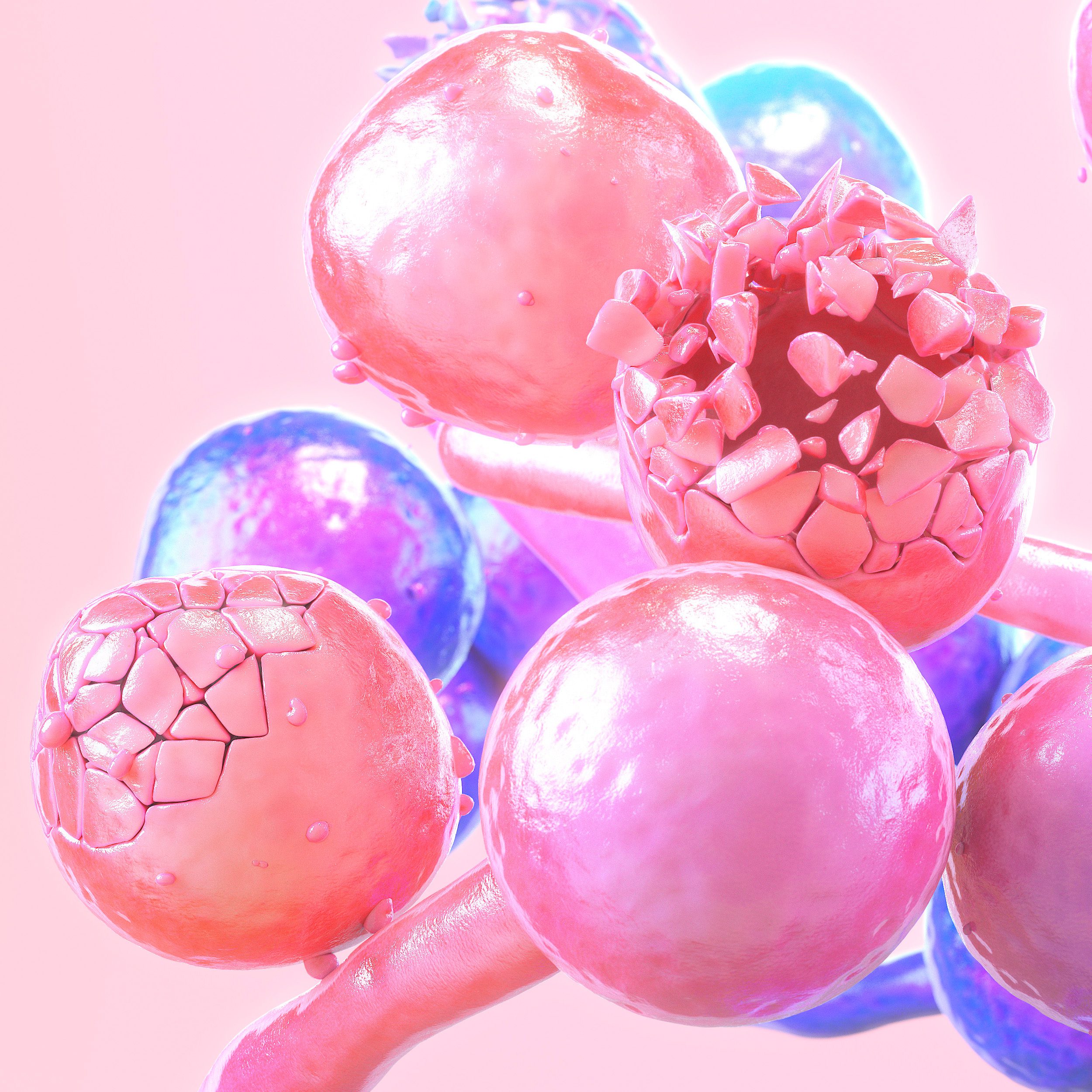 Brexafemme - Scynexis - pixteur studios