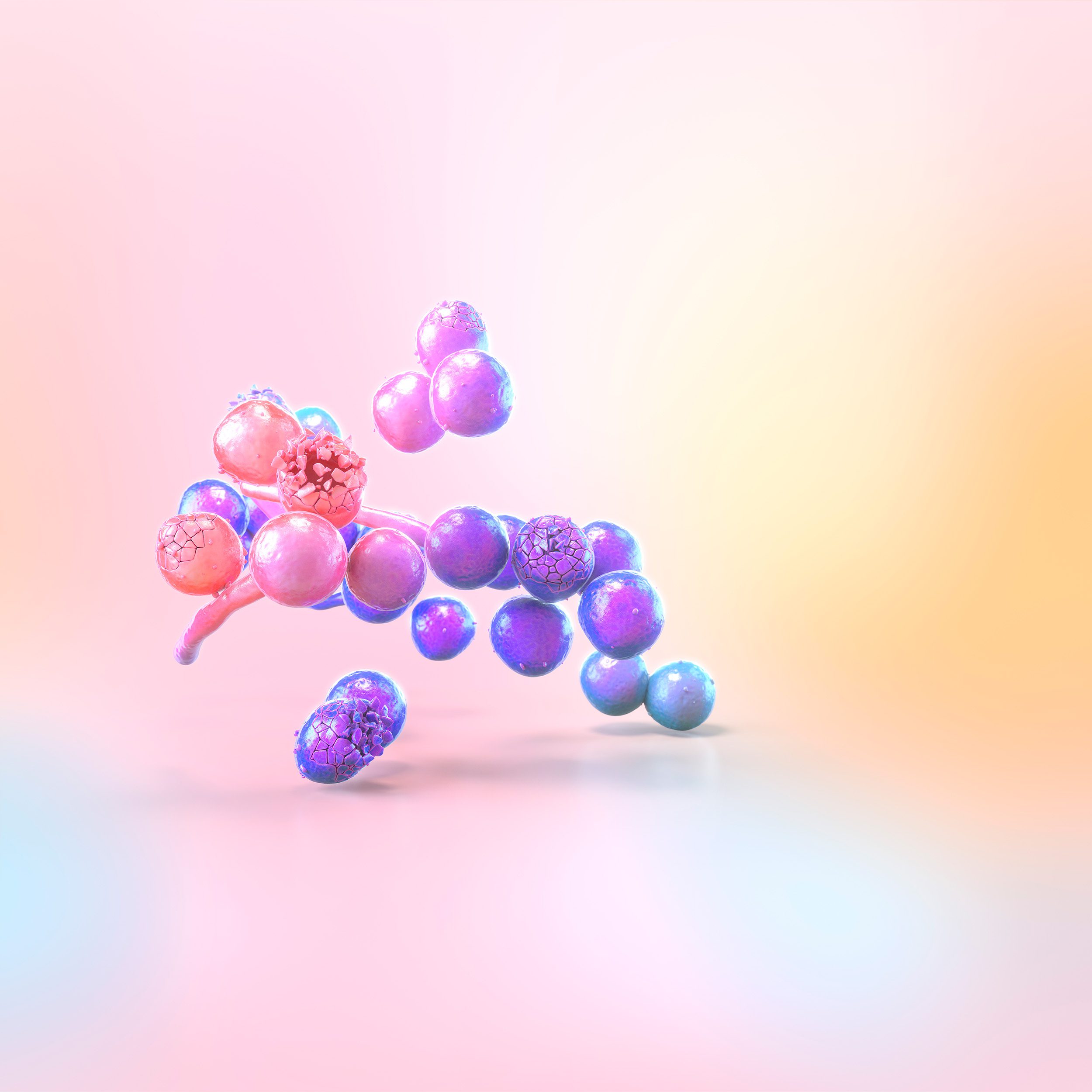 Brexafemme - Scynexis - pixteur studios